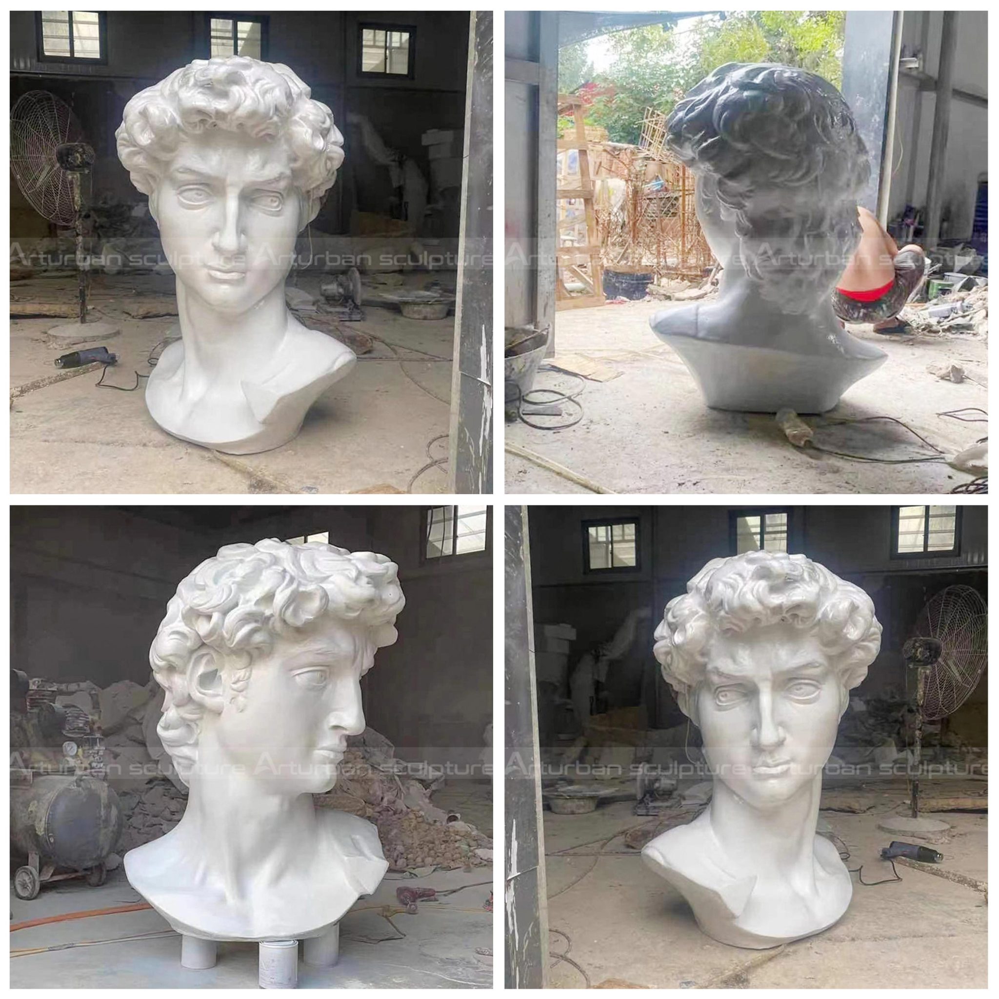 The Bust Of David