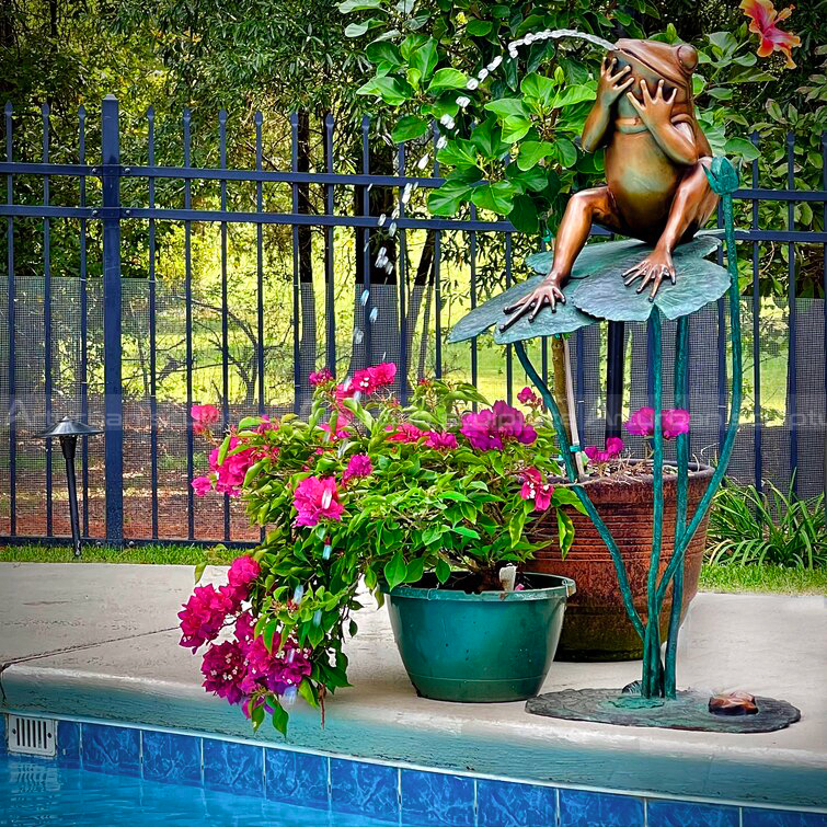 Spitting Frog Fountain